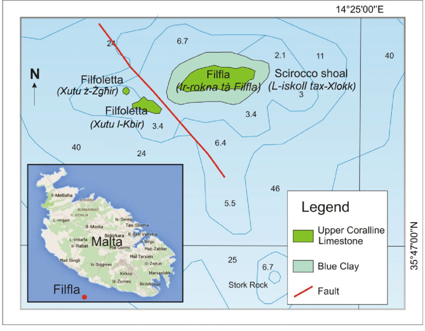 Filfla, trésor de biodiversité (photos) – MALTE et LA VALETTE